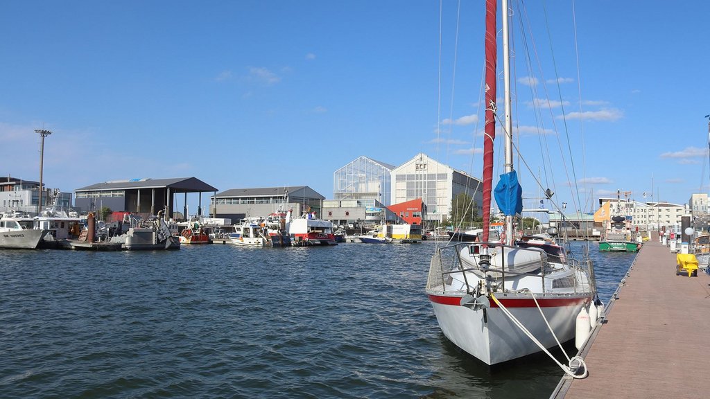 Fahrtensegeln: Dünkirchen Yachthafen Marina
